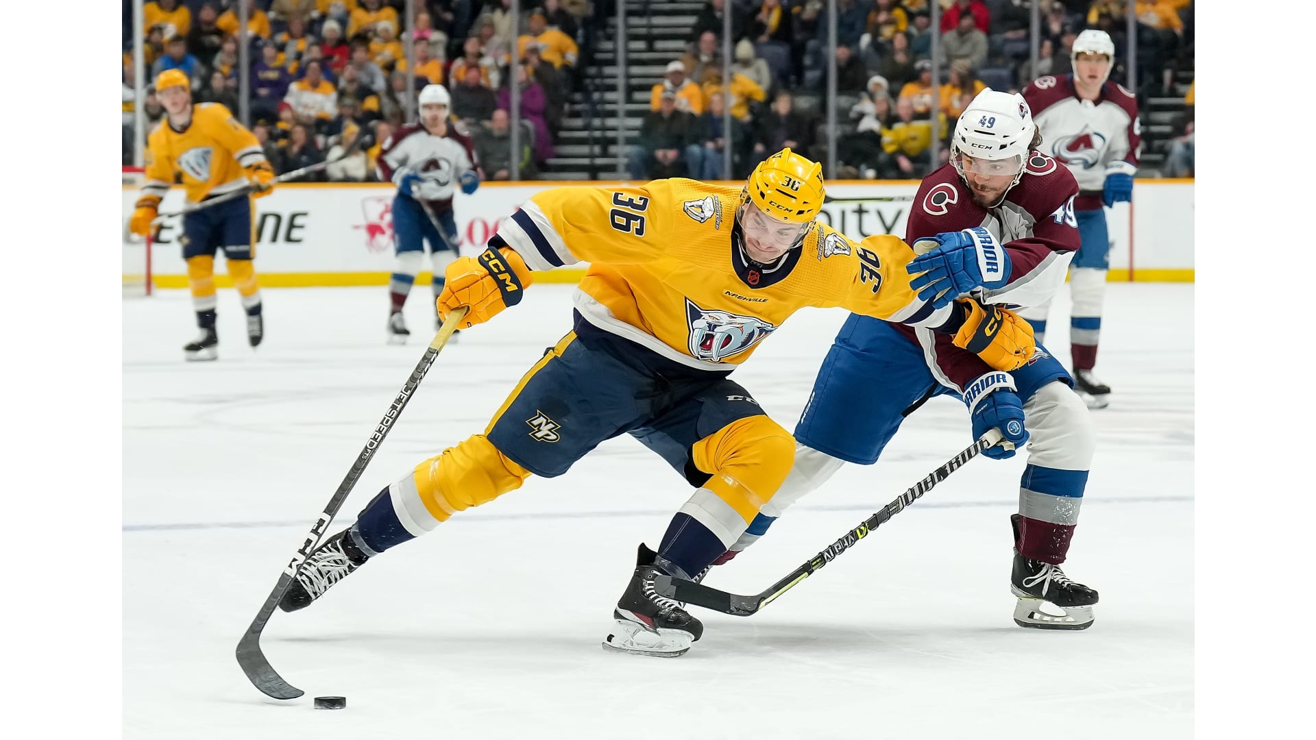 Best of Cole Smith: 2022-2023 | Nashville Predators