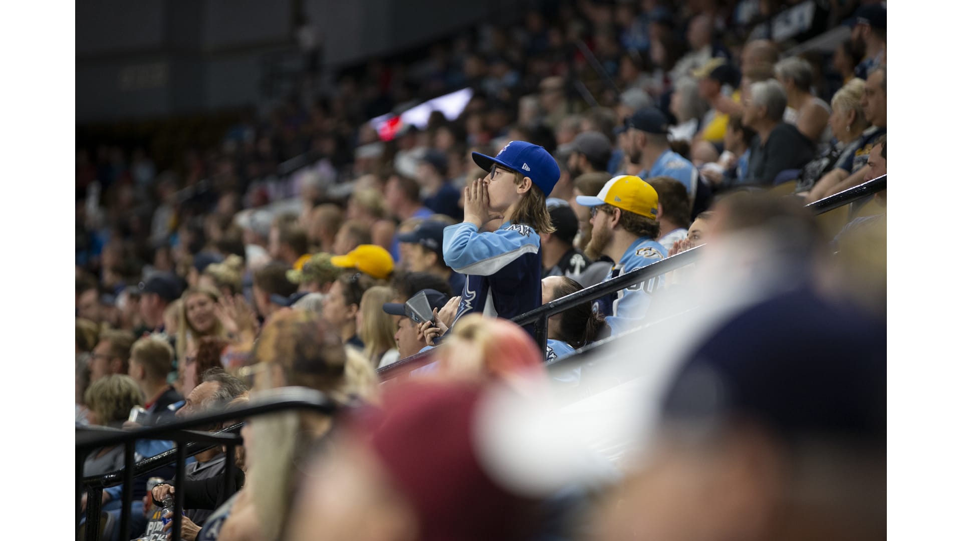 Calder Cup Playoffs Conference Finals Game Five: Ads vs. Firebirds ...
