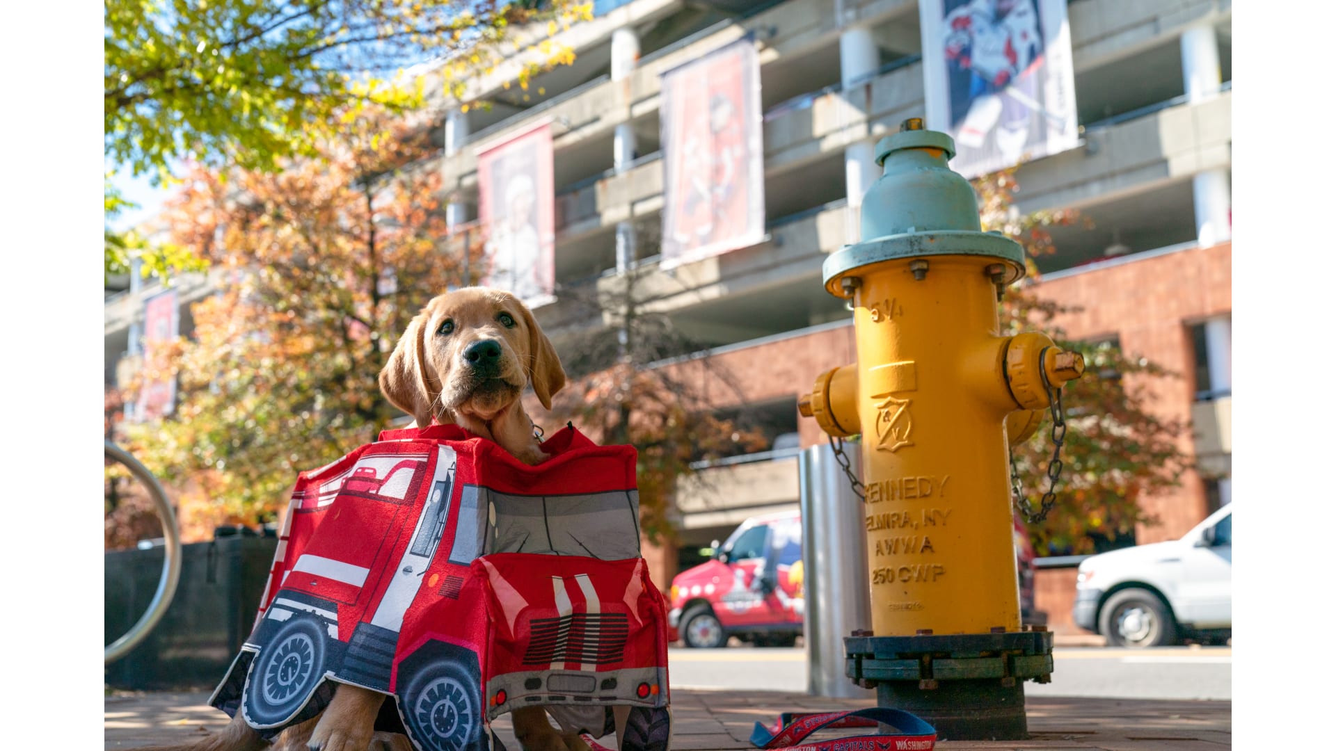 Captain's First Halloween | Washington Capitals