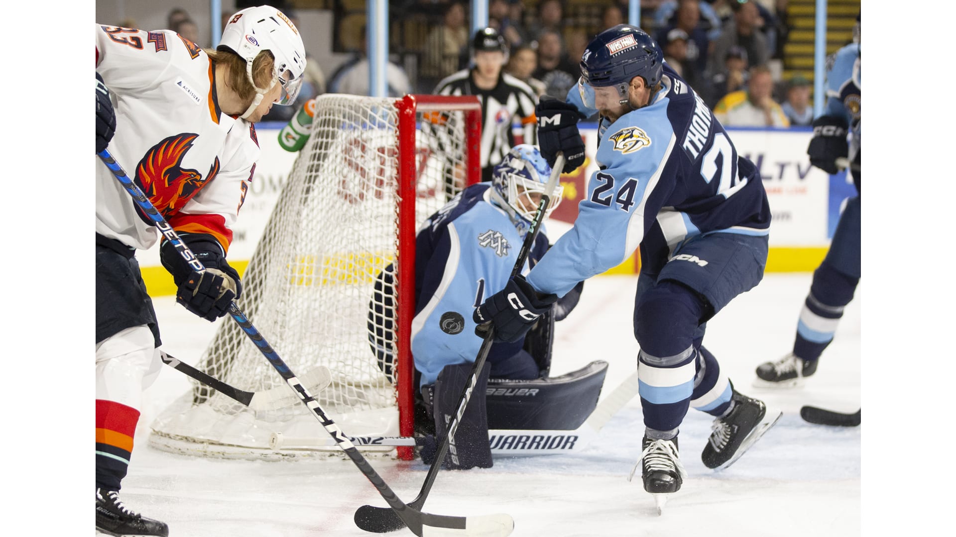 Calder Cup Playoffs Conference Finals Game Five: Ads vs. Firebirds ...