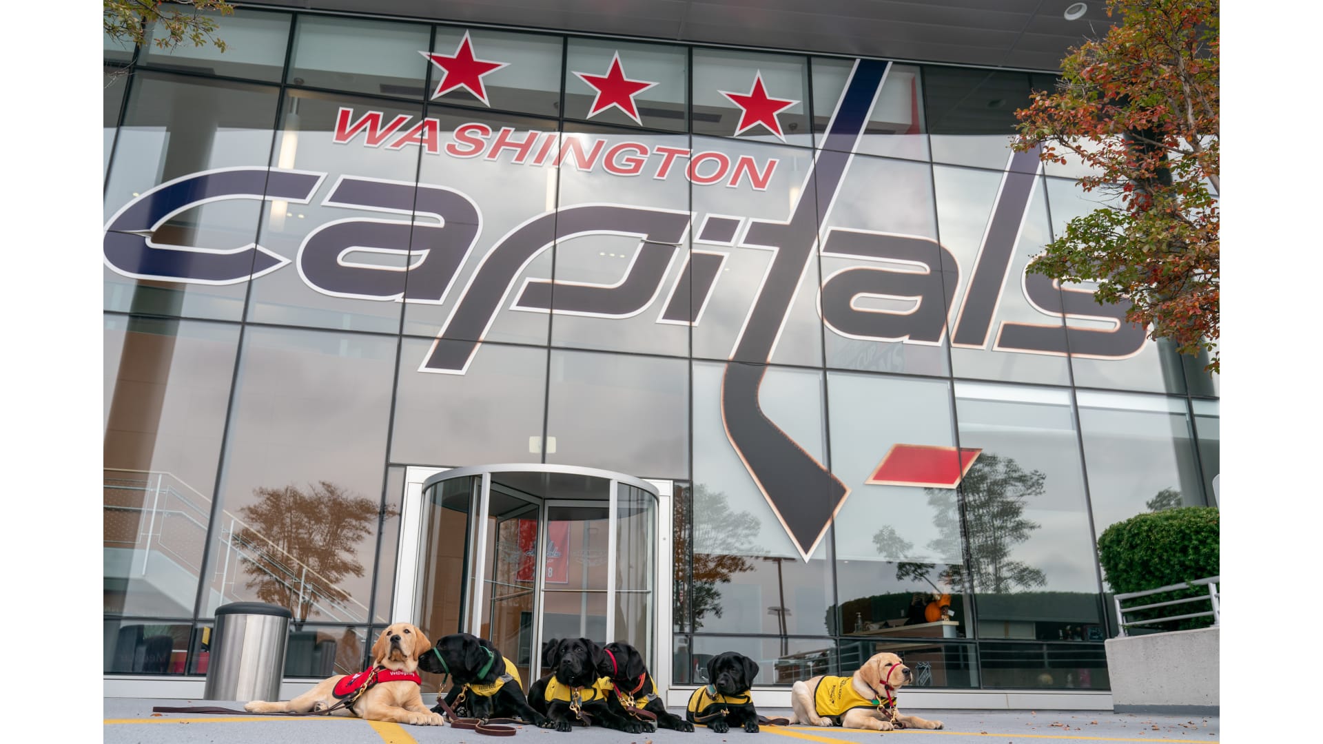 Captain's Training Part 1 | Washington Capitals