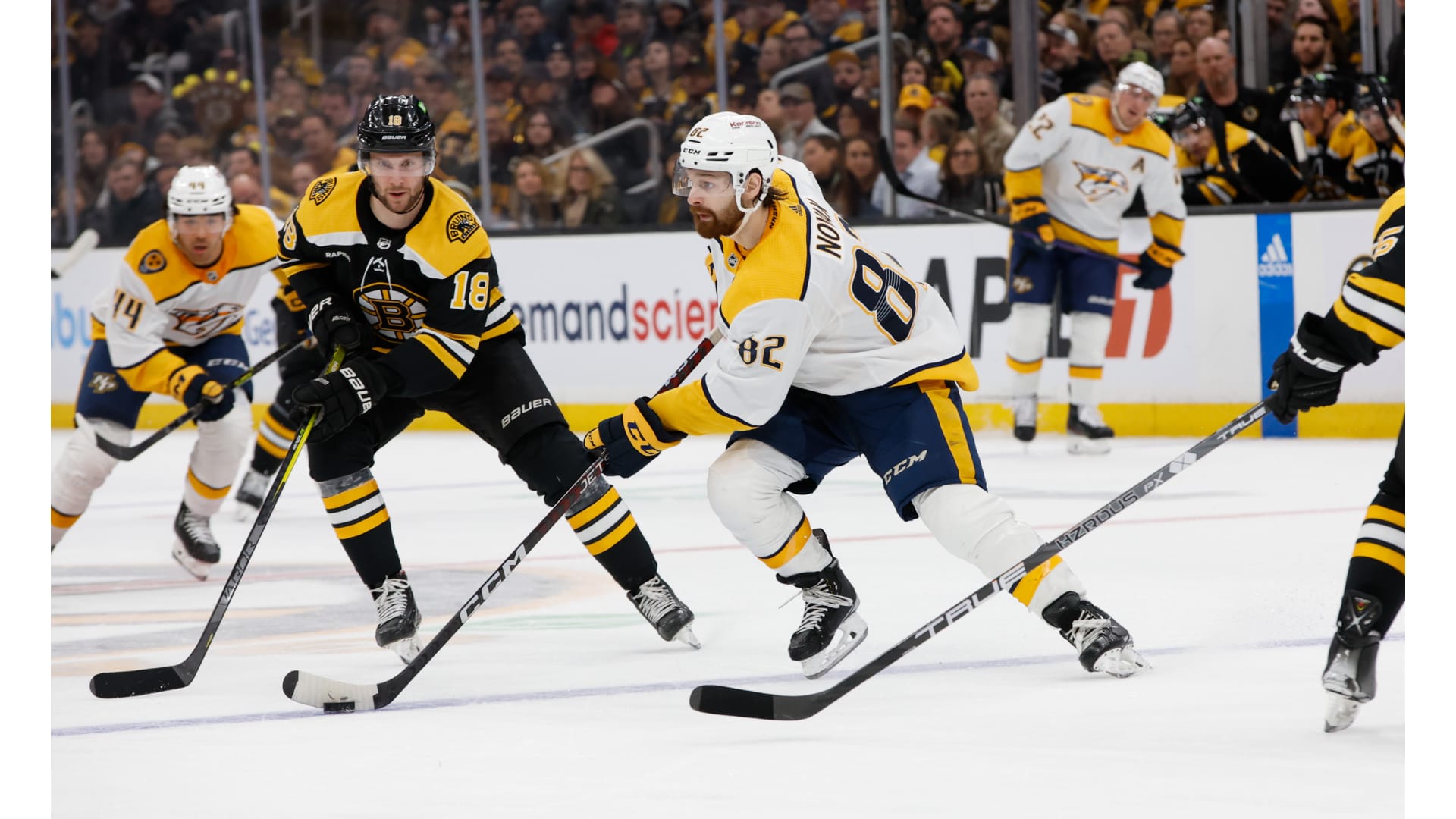 Best of Tommy Novak: 2022-2023 Season | Nashville Predators